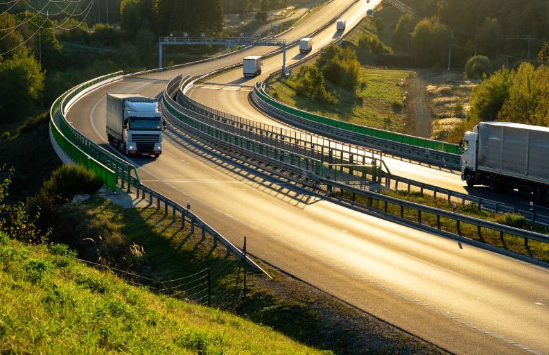 ECUS - Experts in customs